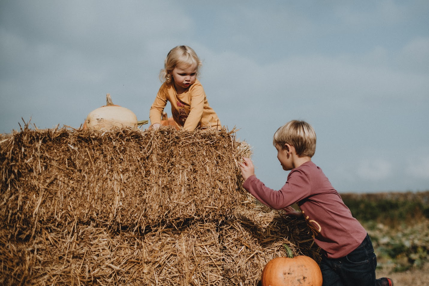 Pumpkin Patch – Church Farm Bucks